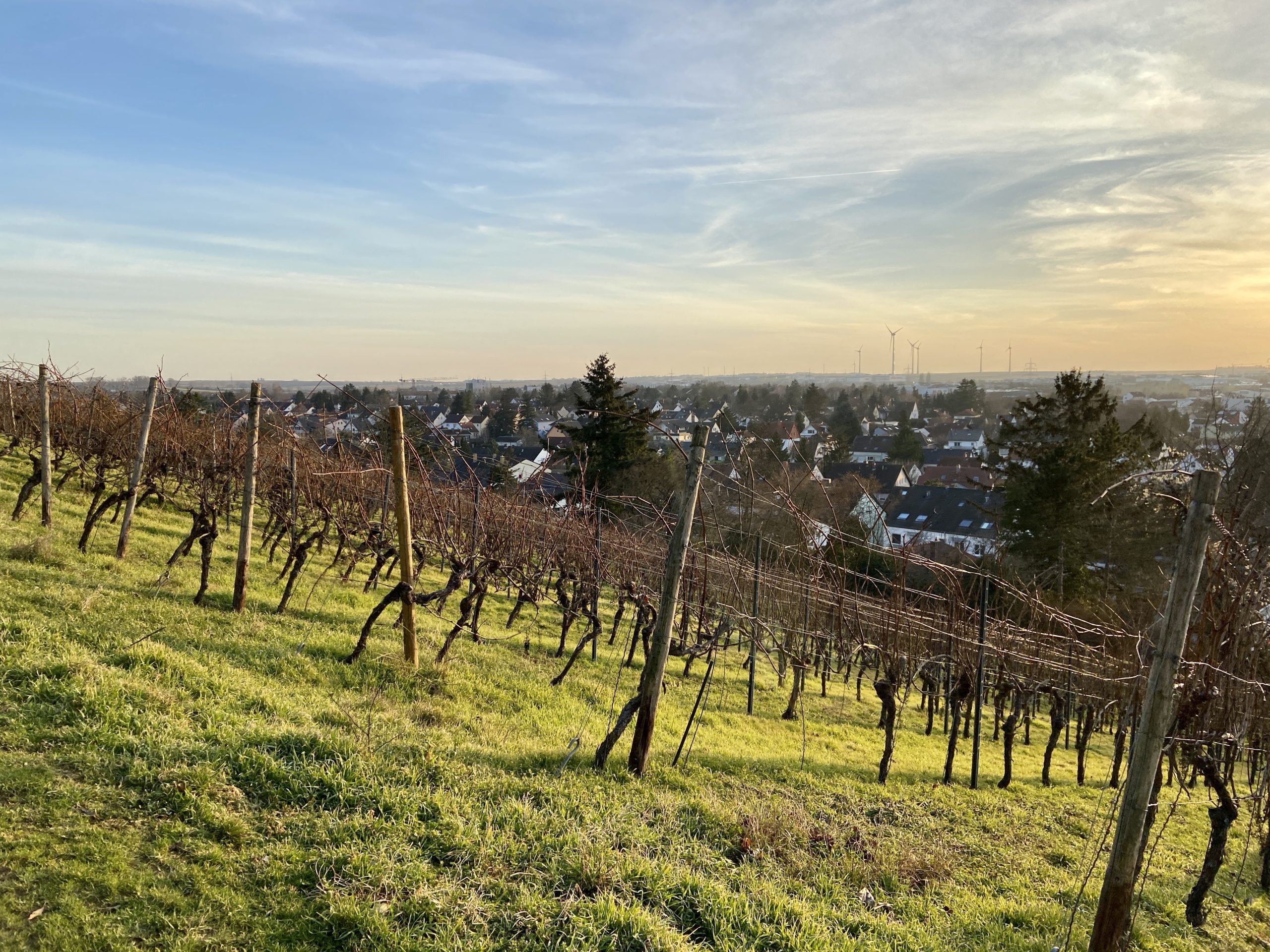 Spaziergang in Mainz: Hechtsheimer Kirchenstück - #reiselust