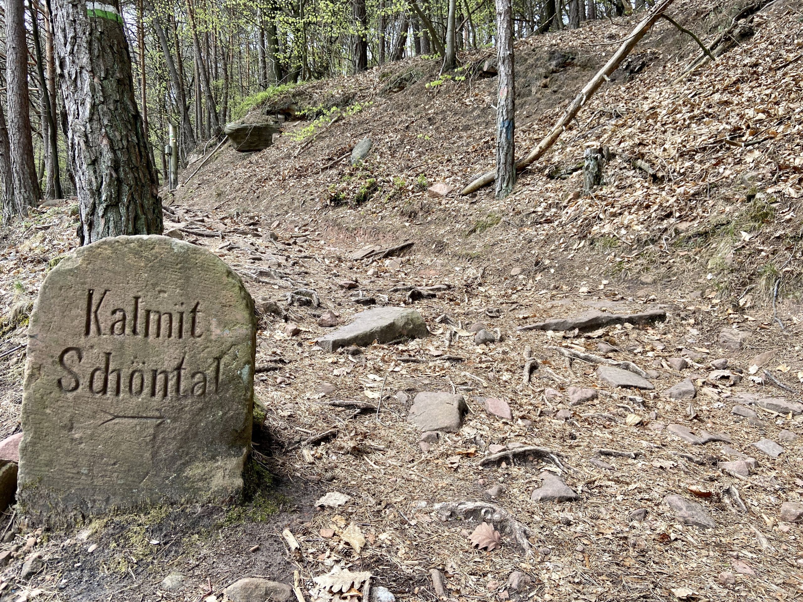 Wandern in der Pfalz: Kalmit-Felsenmeer-Tour ab Maikammer - #reiselust