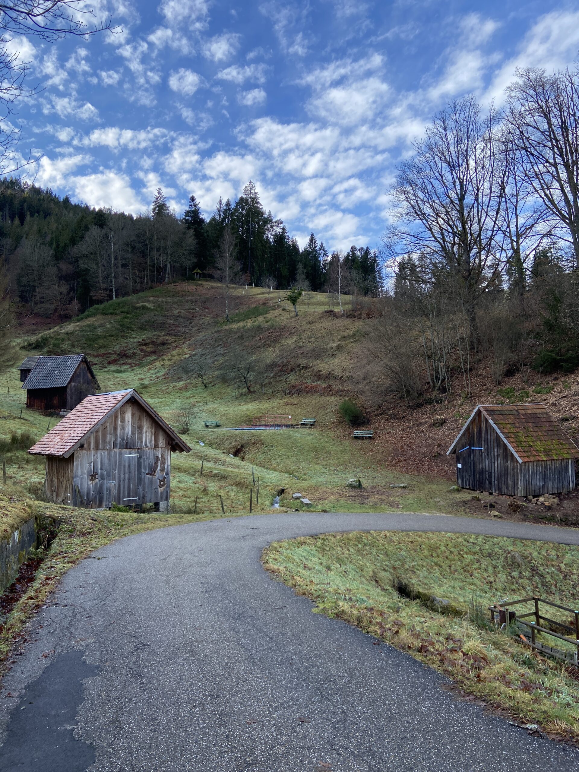 Fabelhafte Rote Lache Schwarzwald Fotos