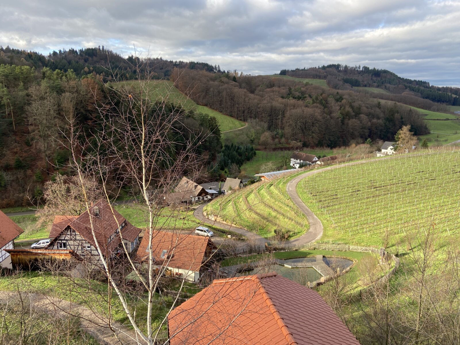 Baumhaushotel Waldhisli in Oberkirch im Schwarzwald - #reiselust